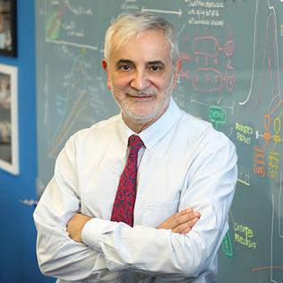 NIA Researchers Introduce the Healthspan | NIH Record